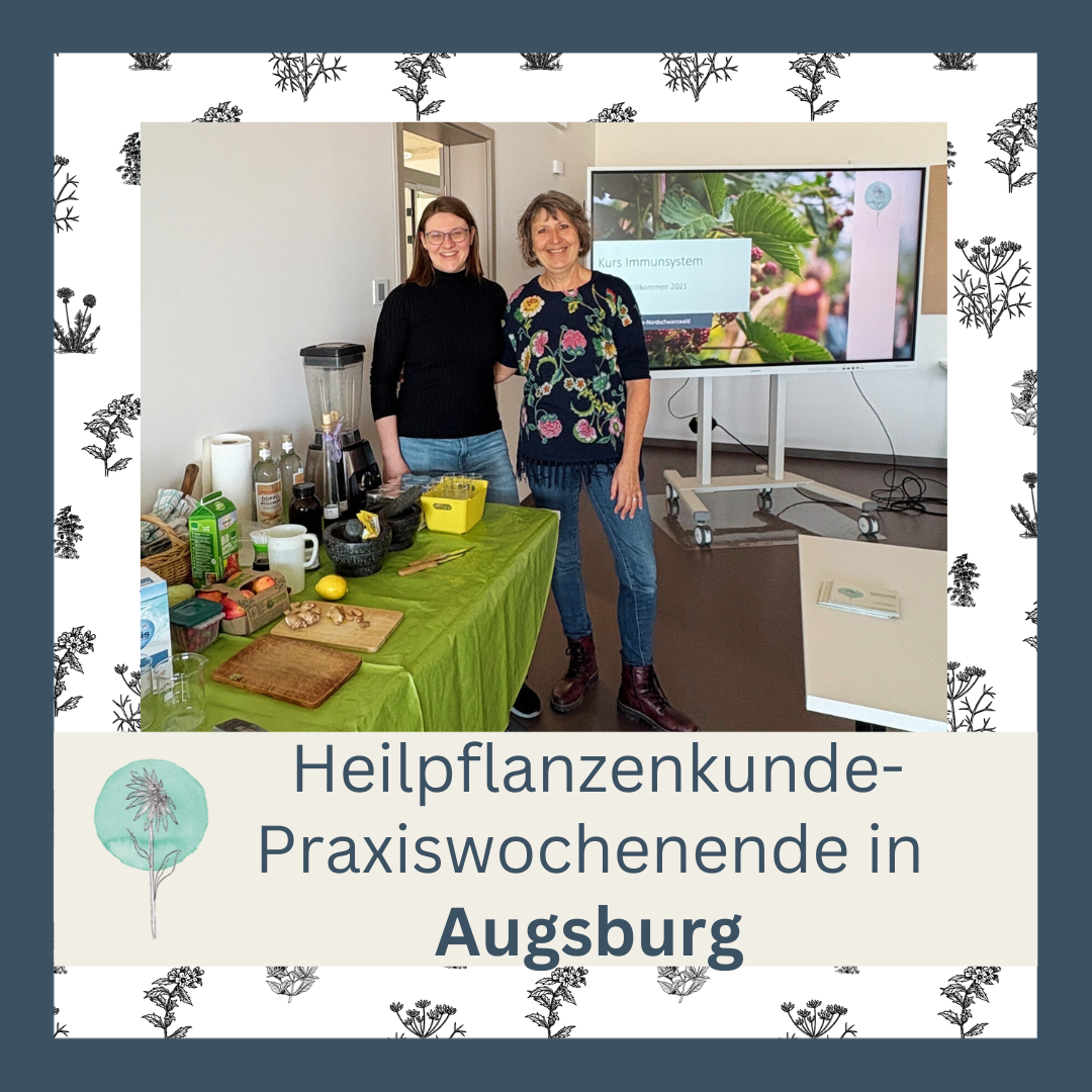 Heilpflanzenkunde- Praxiswochenende in Augsburg – Heilpflanzenschule ...